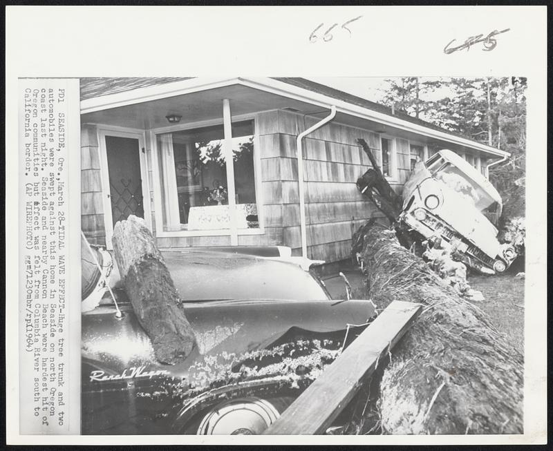 Tidal Wave Effect - Hugh tree trunk and two automobiles were swept ...