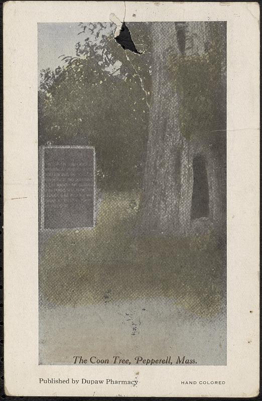 The Coon Tree - Digital Commonwealth