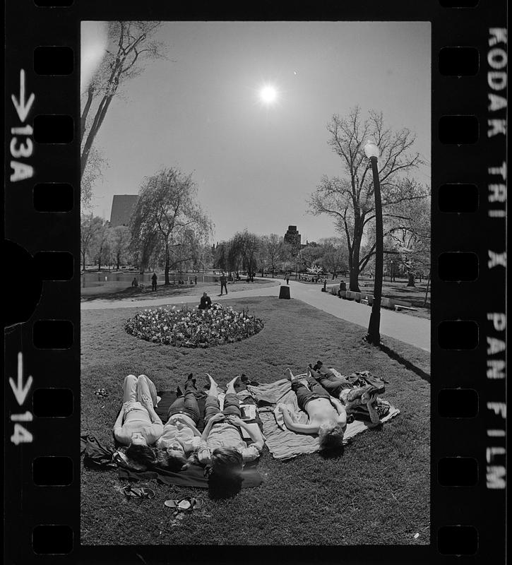 Sunbathing in Public Garden, Back Bay - Digital Commonwealth