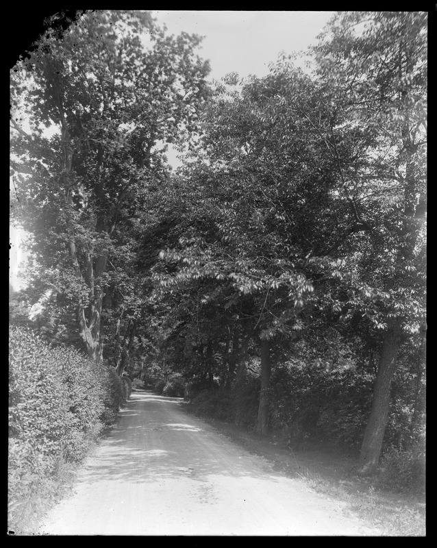 Shaded lane - Digital Commonwealth