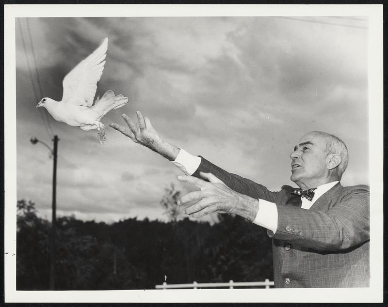 A carrier pigeon with a message addressed to President Johnson is sent ...