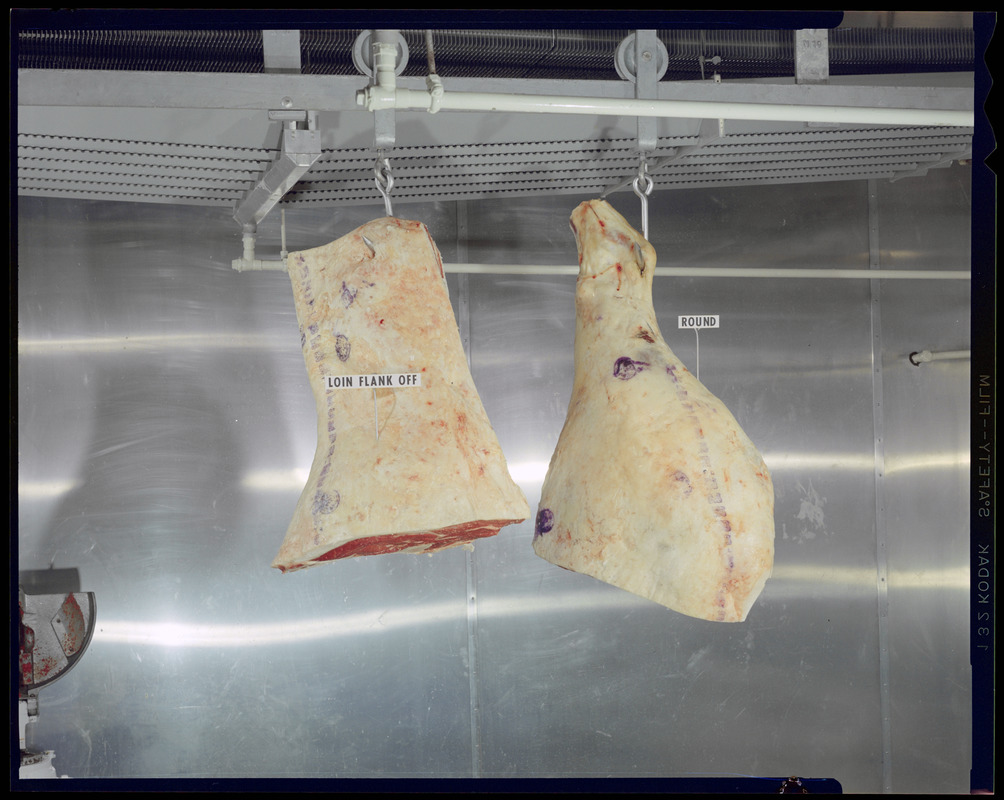 Loin flank off, round - Digital Commonwealth