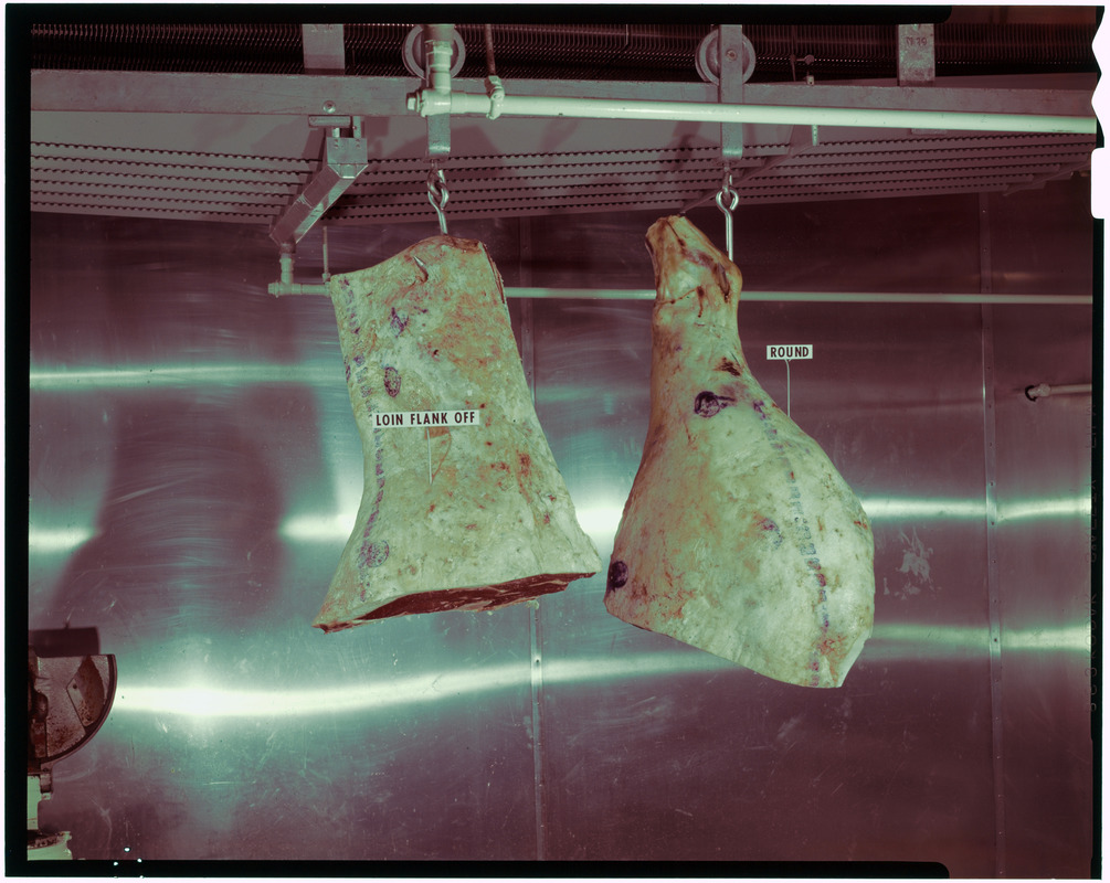 Loin flank off, round - Digital Commonwealth
