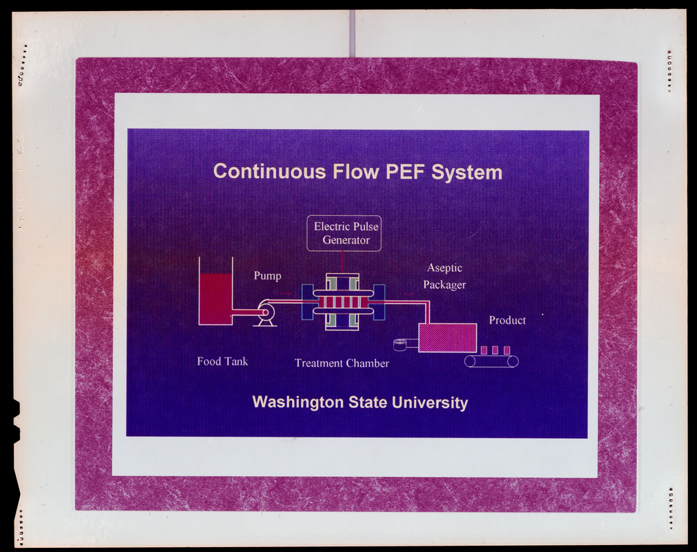 Continuous flow PEF system, Washington State University. Food tank ...