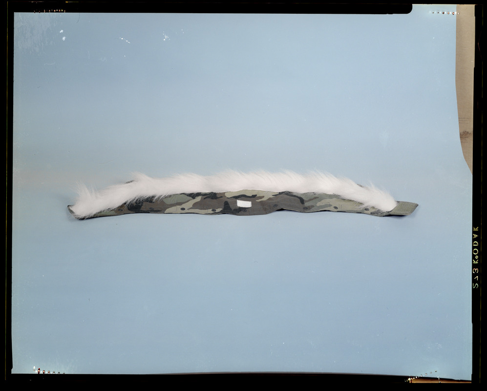 Fur ruff - Digital Commonwealth