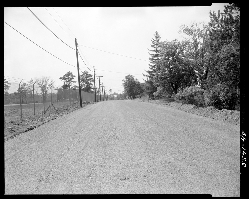 Road and telephone poles - Digital Commonwealth