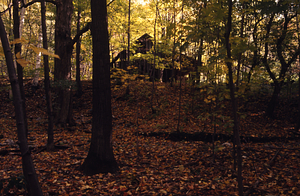 View of south side of Moon Barn from the North Branch of Birch Brook ...
