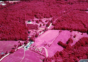 Aerial false-color IR image of Ralph Mason and Julius Hegyi residences ...