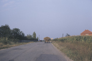 Hay cart on main road - Digital Commonwealth