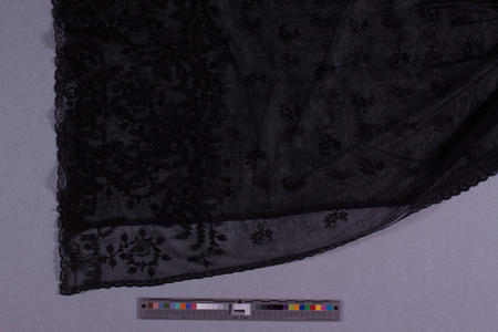 Veil - Digital Commonwealth