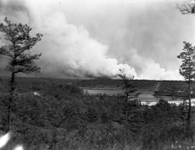 Easter Fire - Digital Commonwealth