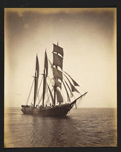 Rachel Emery - Digital Commonwealth