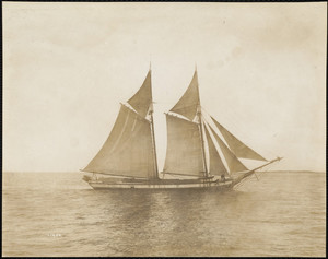 Lizzie B. Sewall - Digital Commonwealth