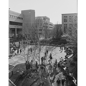 Students walk across the Snell Library quadrangle - Digital Commonwealth