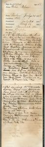 Tewksbury Almshouse Intake Record: Palmer, Delia - Digital Commonwealth