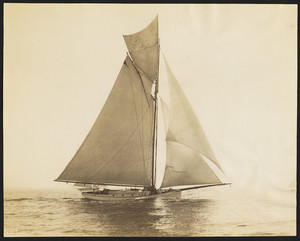 Fanita - Digital Commonwealth