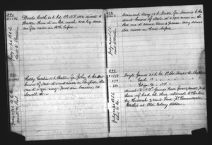 Tewksbury Almshouse Intake Record: Kelly, Cecelia - Digital Commonwealth