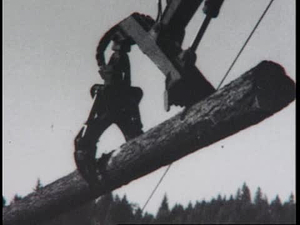 The Oregon Story; Logging - Digital Commonwealth