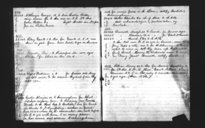 Tewksbury Almshouse Intake Record: Bowlin, Mary - Digital Commonwealth