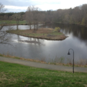 Pond at Smith College - Digital Commonwealth