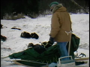 Kuskokwim 300 Sled Dog Race - Digital Commonwealth