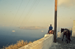 Man riding a mule - Digital Commonwealth