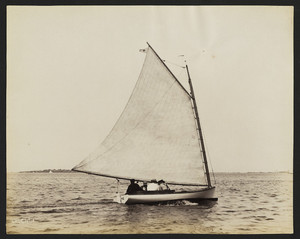 Clytie - Digital Commonwealth