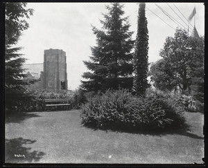 Poland Springs Chapel from grove - Digital Commonwealth