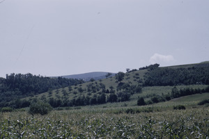 Jarmenovci countryside - Digital Commonwealth
