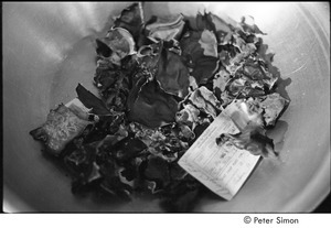 Resistance rally: burned draft cards in a bowl - Digital Commonwealth