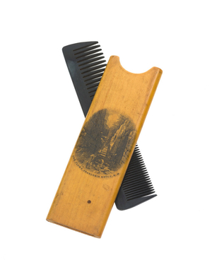 Pocket Comb and case - Digital Commonwealth