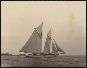 Arbella - Digital Commonwealth