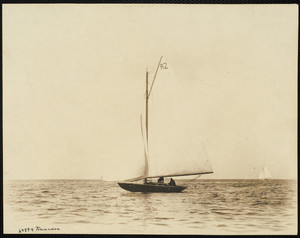 Timandra - Digital Commonwealth