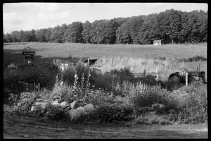 View over the fields, Montague Farm Commune - Digital Commonwealth