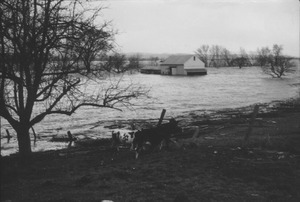 Flooded barn in field - Digital Commonwealth
