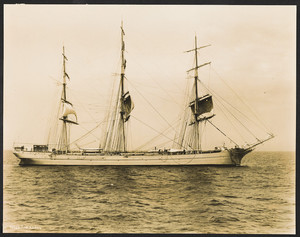 Timandra - Digital Commonwealth