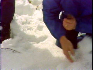 Steve Amen - Digital Commonwealth