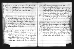 Tewksbury Almshouse Intake Record: Harney, Bridget - Digital Commonwealth