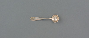 Salt Spoon - Digital Commonwealth