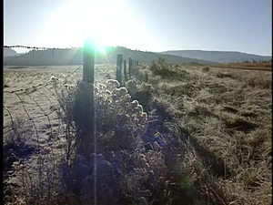 ¡Colores!; Northern NM Landscapes Fall Colors, From S. Ulibarri Show; 2 ...