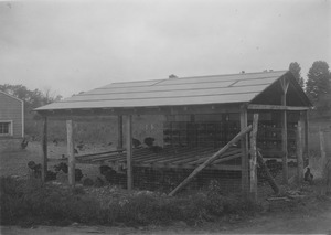 Poultry - Digital Commonwealth