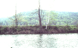 Northwest Hill from east bank of the Hoosic River at the MA-VT state ...