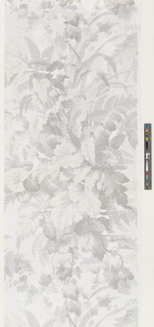 Wallpaper - Digital Commonwealth