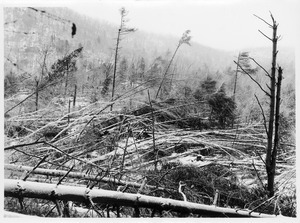 Mt. Toby Cabin - Digital Commonwealth