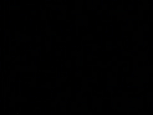 Running - Digital Commonwealth