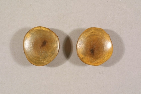 Pair of Cuff Buttons - Digital Commonwealth