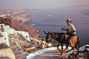 Man riding mule - Digital Commonwealth