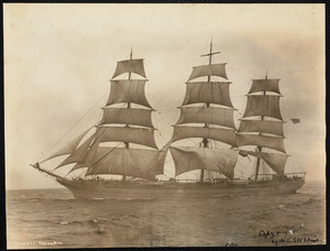 Timandra - Digital Commonwealth