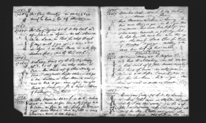 Tewksbury Almshouse Intake Record: McFee, Alexander - Digital Commonwealth