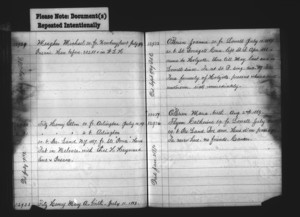 Tewksbury Almshouse Intake Record: Fitzhenry, Mary A. - Digital ...